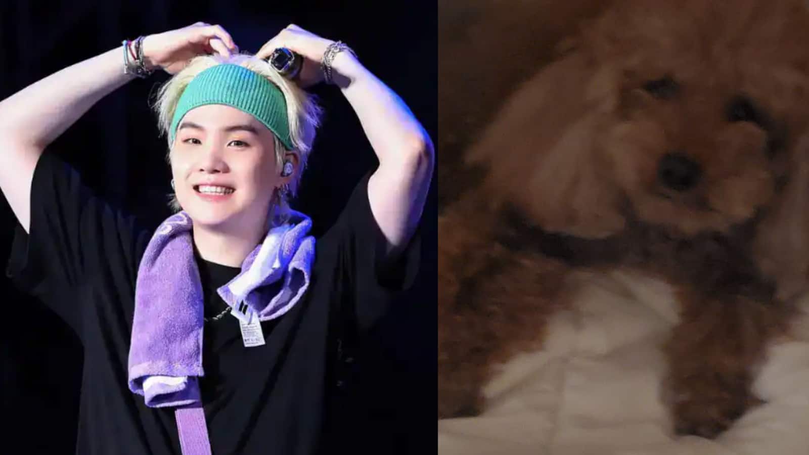 BTS: From J-Hope's Mickey to RM's Rapmon, THESE pet dogs of septet are ...