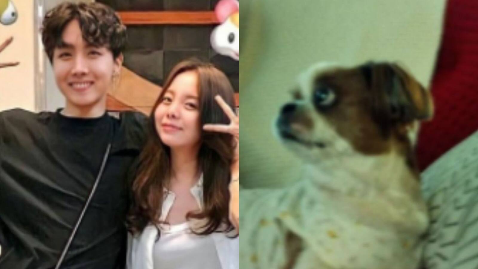 BTS: J-Hope's family gets love from ARMY after his sister Jiwoo shares ...