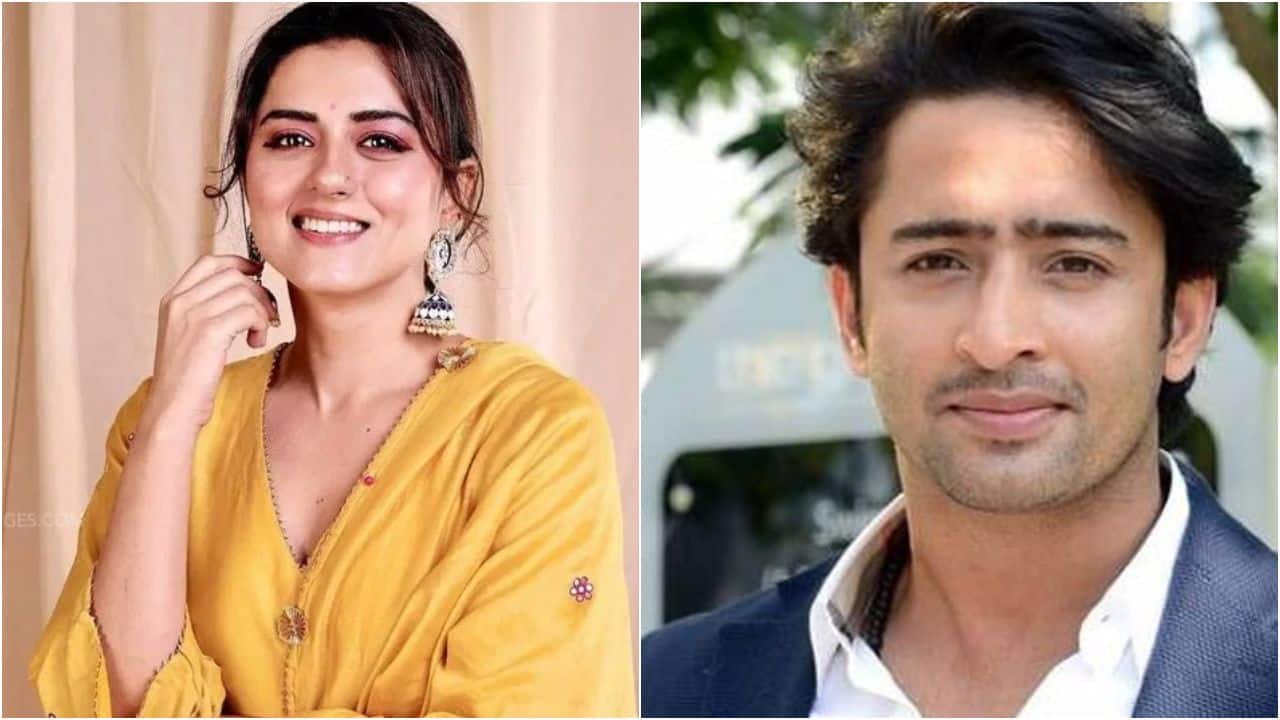 Ridhi Dogra, Kushal Tandon, Shaheer Sheikh and more TV celebs whose ...