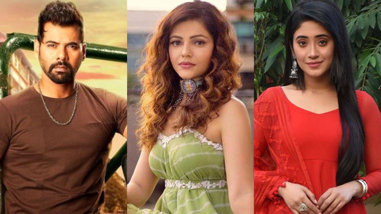 Shabir Ahluwalia, Rubina Dilaik, Shivangi Joshi and 7 other TV actors ...