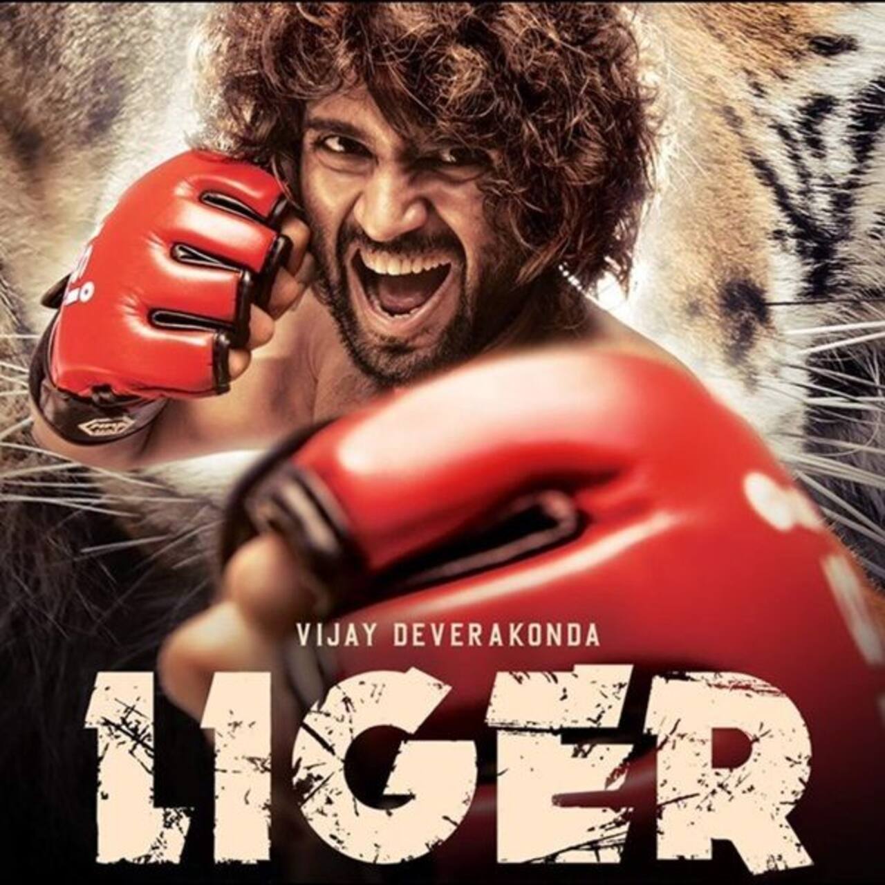 From Shah Rukh Khan to Hrithik Roshan to Prabhas: These 6 superstars ...