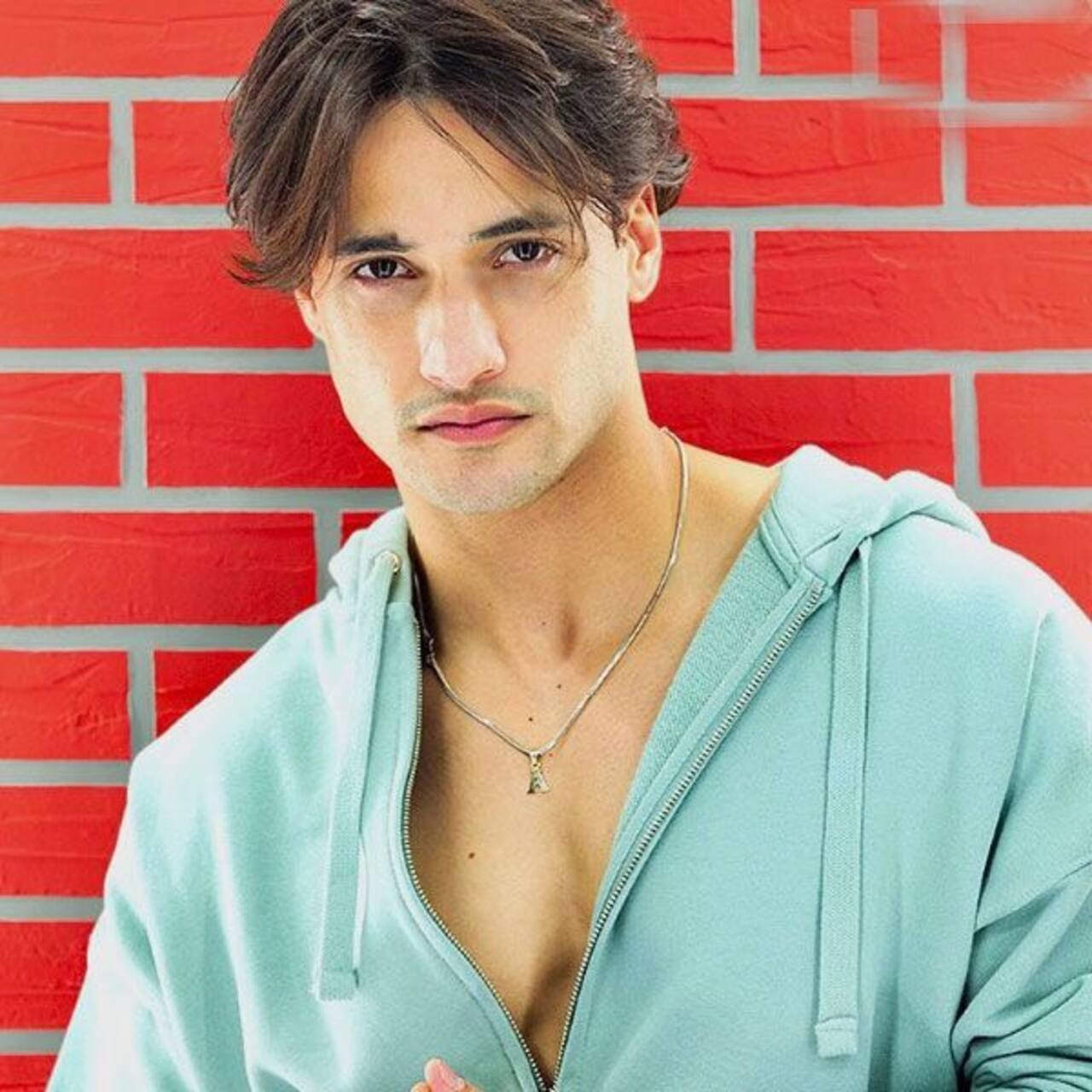 Harshad Chopda Asim Riaz Karan Patel And Other Tv Stars From Affluent Backgrounds