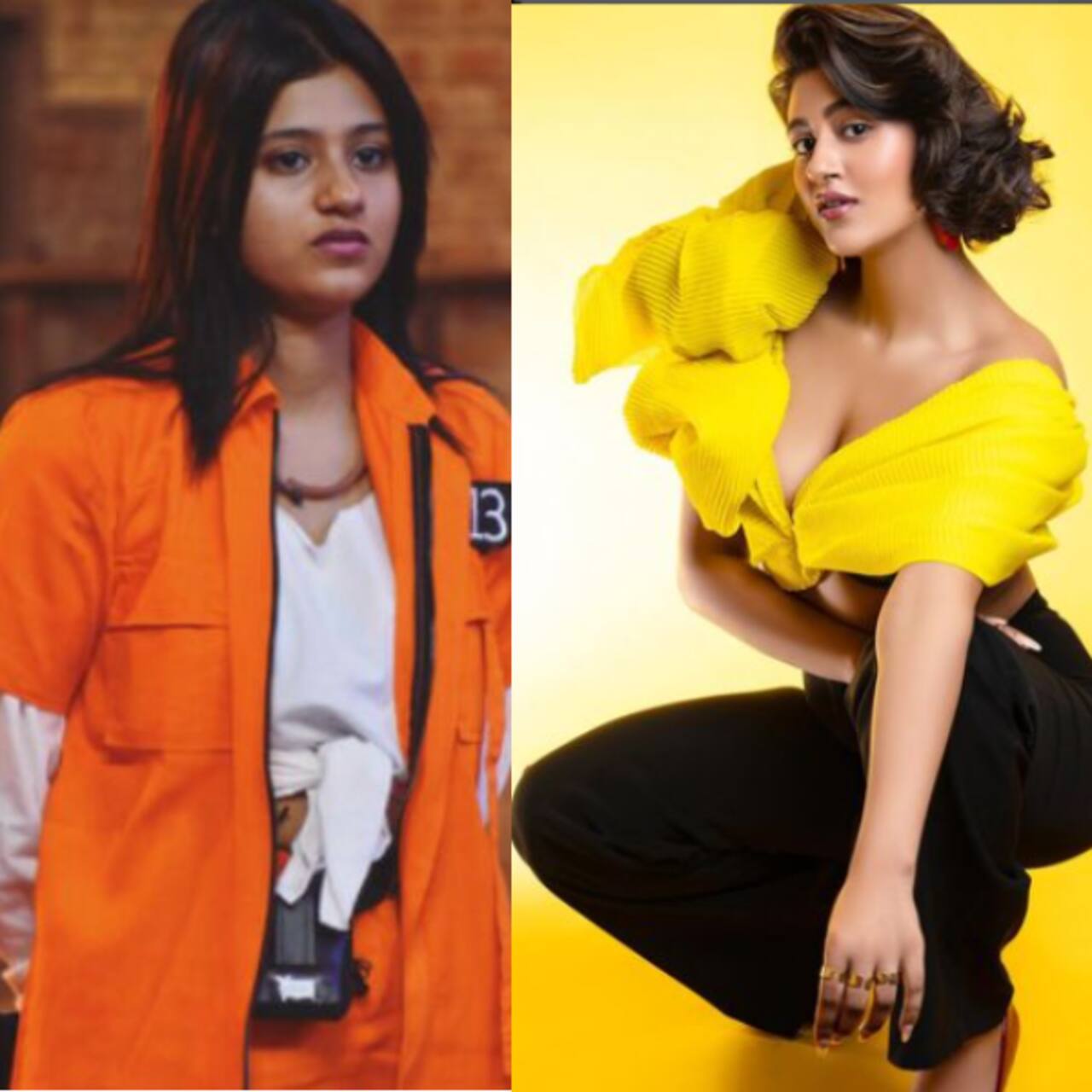 From Shehnaaz Gill to Lokesh Kumari: The massive transformation of ...