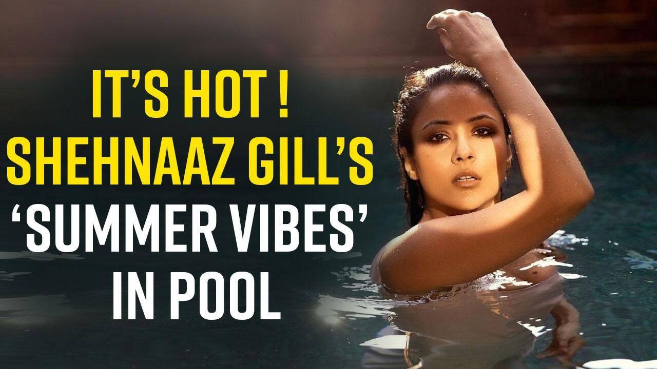 Shehnaaz Gill’s latest photoshoot is too hot to handle – Watch video