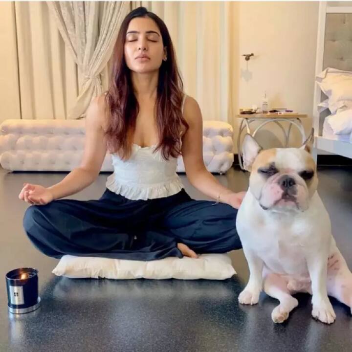 Inside Samantha Ruth Prabhu's home where she earlier lived in with Naga ...