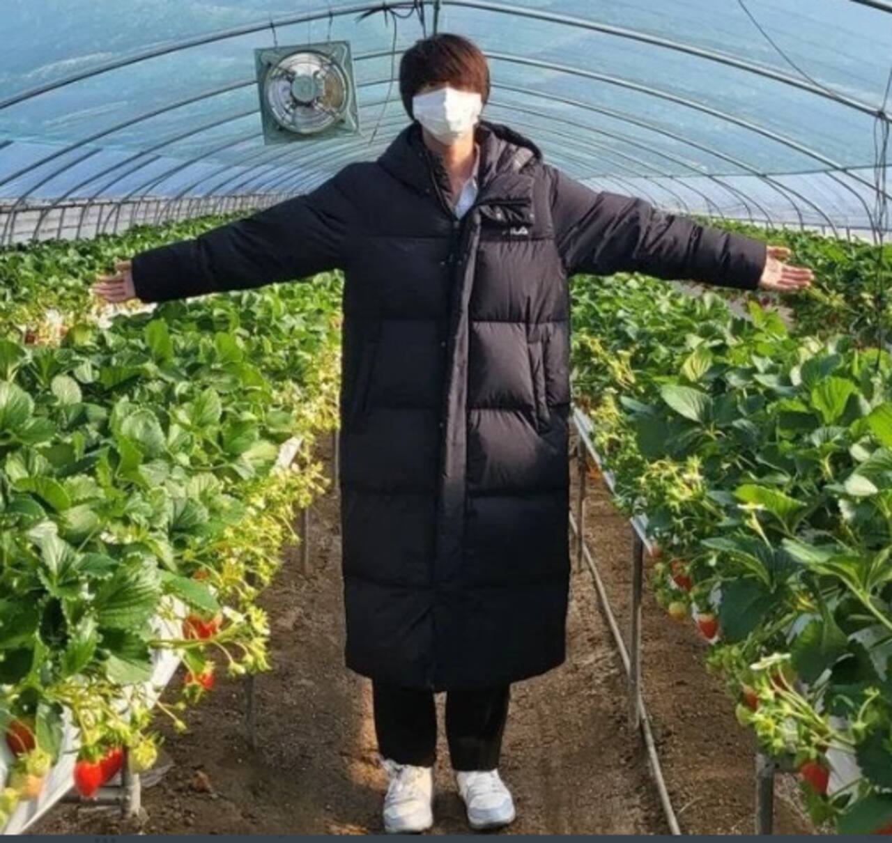 BTS: Jin aka Kim Seokjin's grandfather finds a mention in his cooking ...