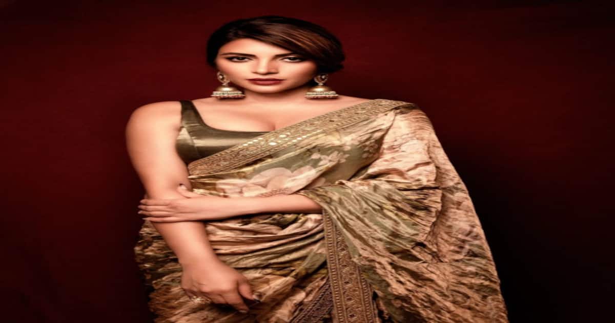 Shama Sikander Looking Gorgeous in sadi See Photos - शमा सिकंदर ने बिखेरा हुस्न का जलवा