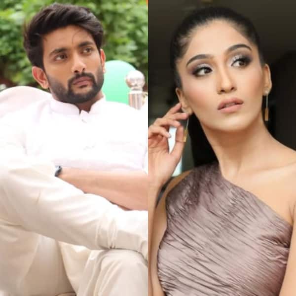 Bigg Boss 16: Imlie's Fahmaan Khan almost confirmed for Salman Khan's show? These top TV celebs ...