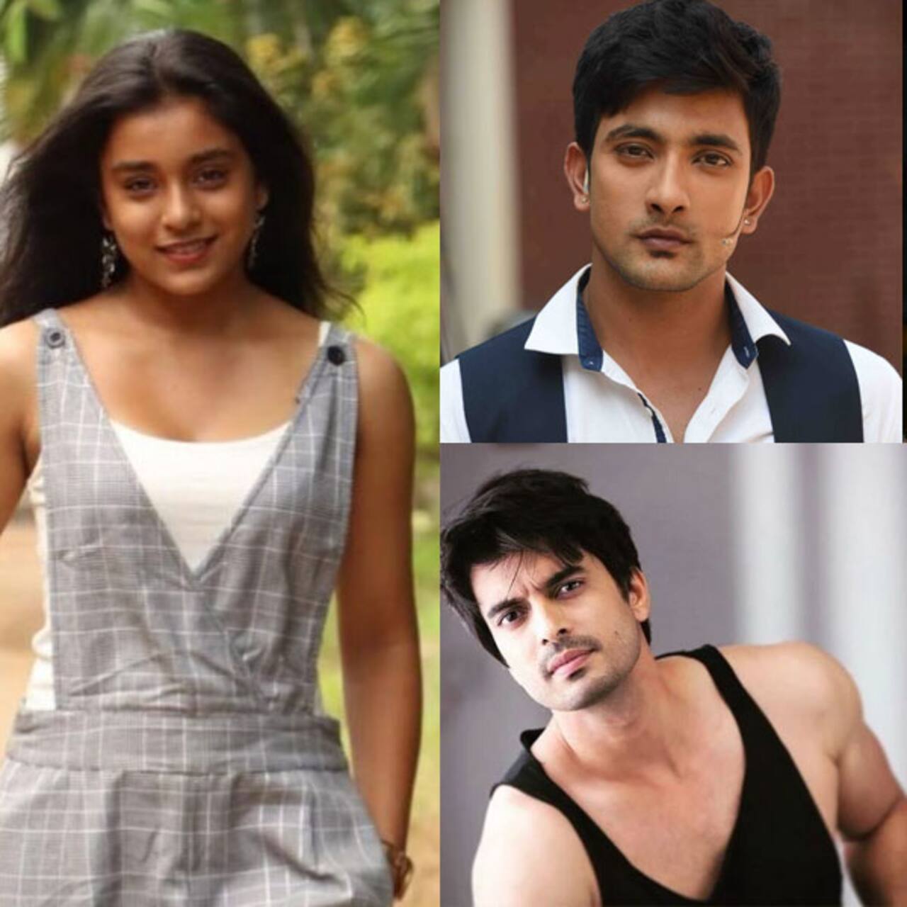 Imlie: Sumbul Touqeer Khan, Fahmaan Khan, Gashmeer Mahajani and other ...