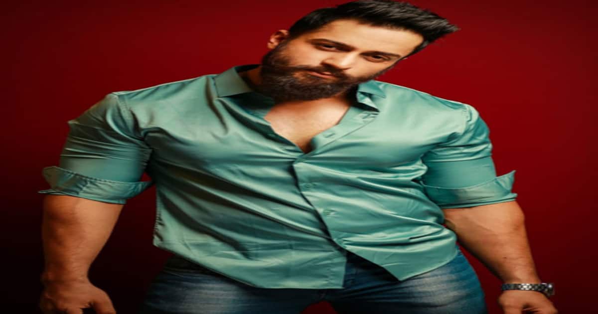 Bigg Boss 16 contestant Shalin Bhanot: Know about his journey, unknown ...