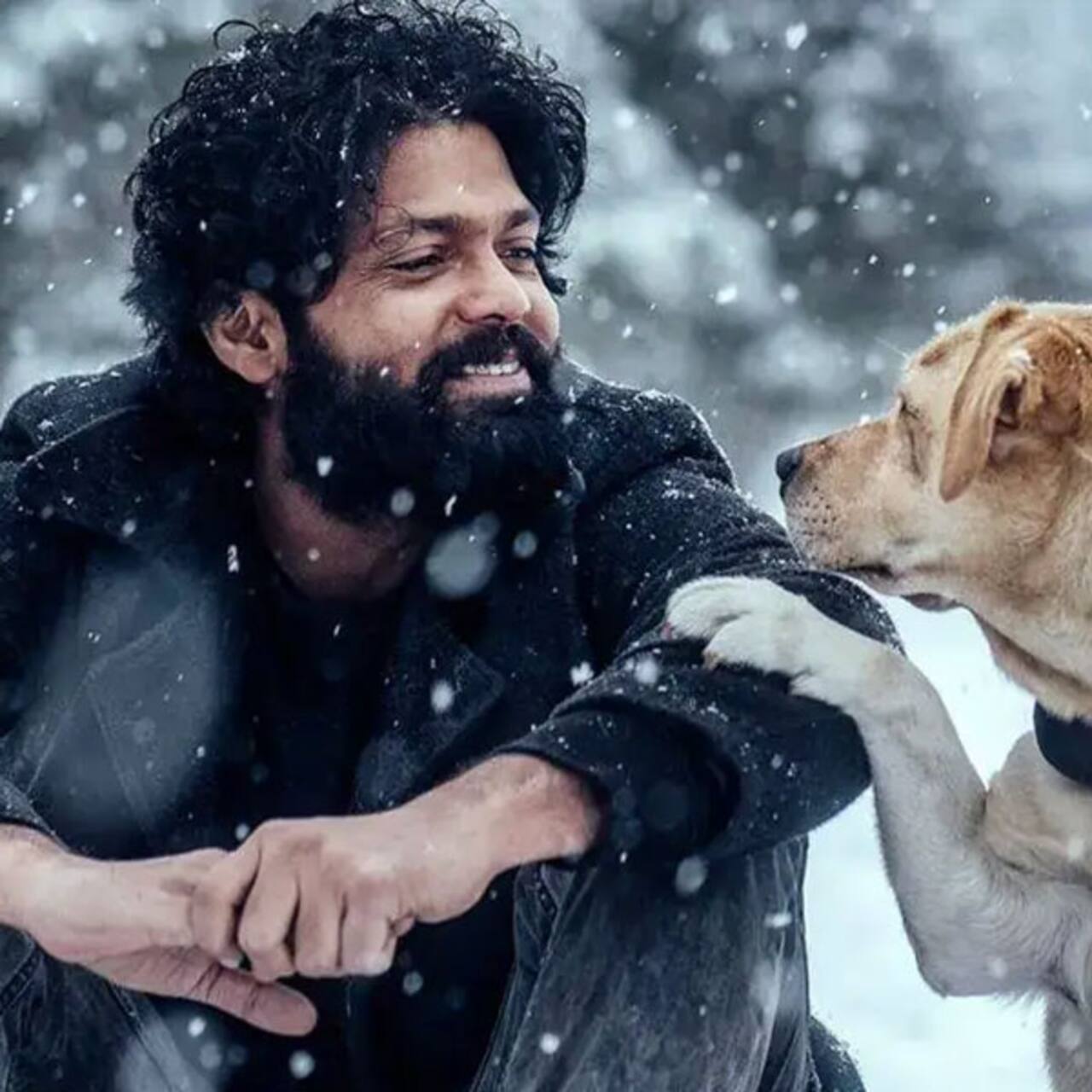 Kantara, Rocketry, Jai Bhim and more; South films rule IMDb's Top rated ...