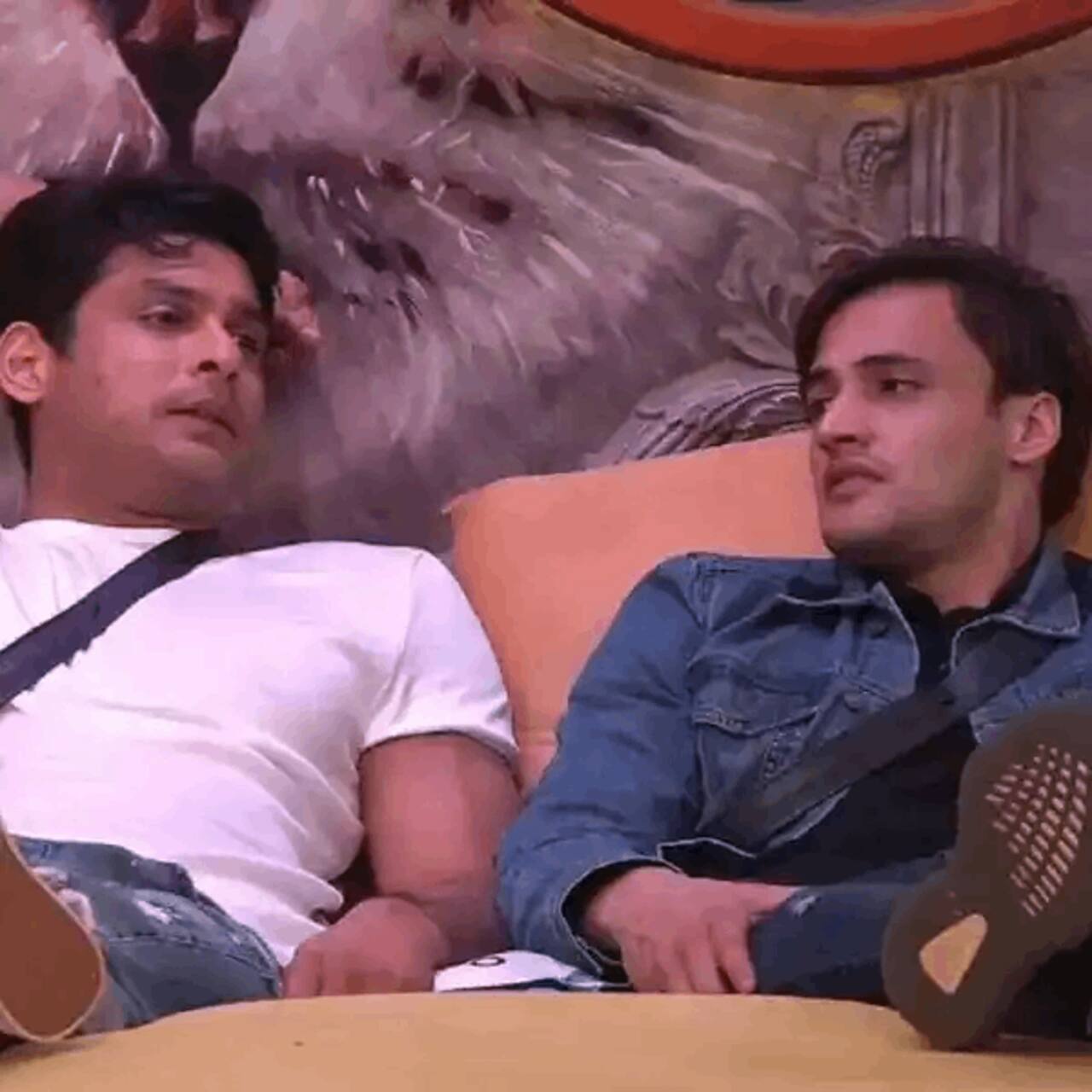 Bigg Boss: Shalin Bhanot-Sumbul Touqeer, Sidharth Shukla-Asim Riaz and ...