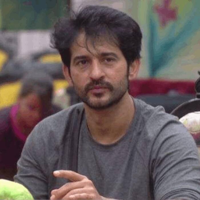 Bigg Boss 16: Before Ankit Gupta, Karan Mehra, Hiten Tejwani and other ...