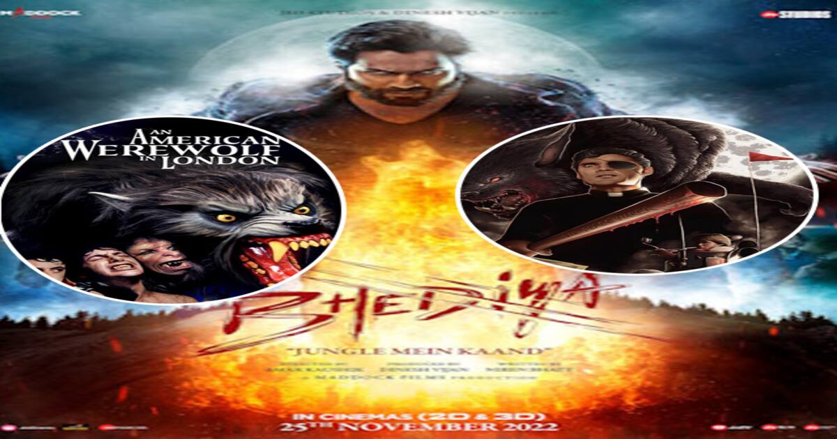 Before Varun Dhawan starrer Bhediya releases, check out these must ...