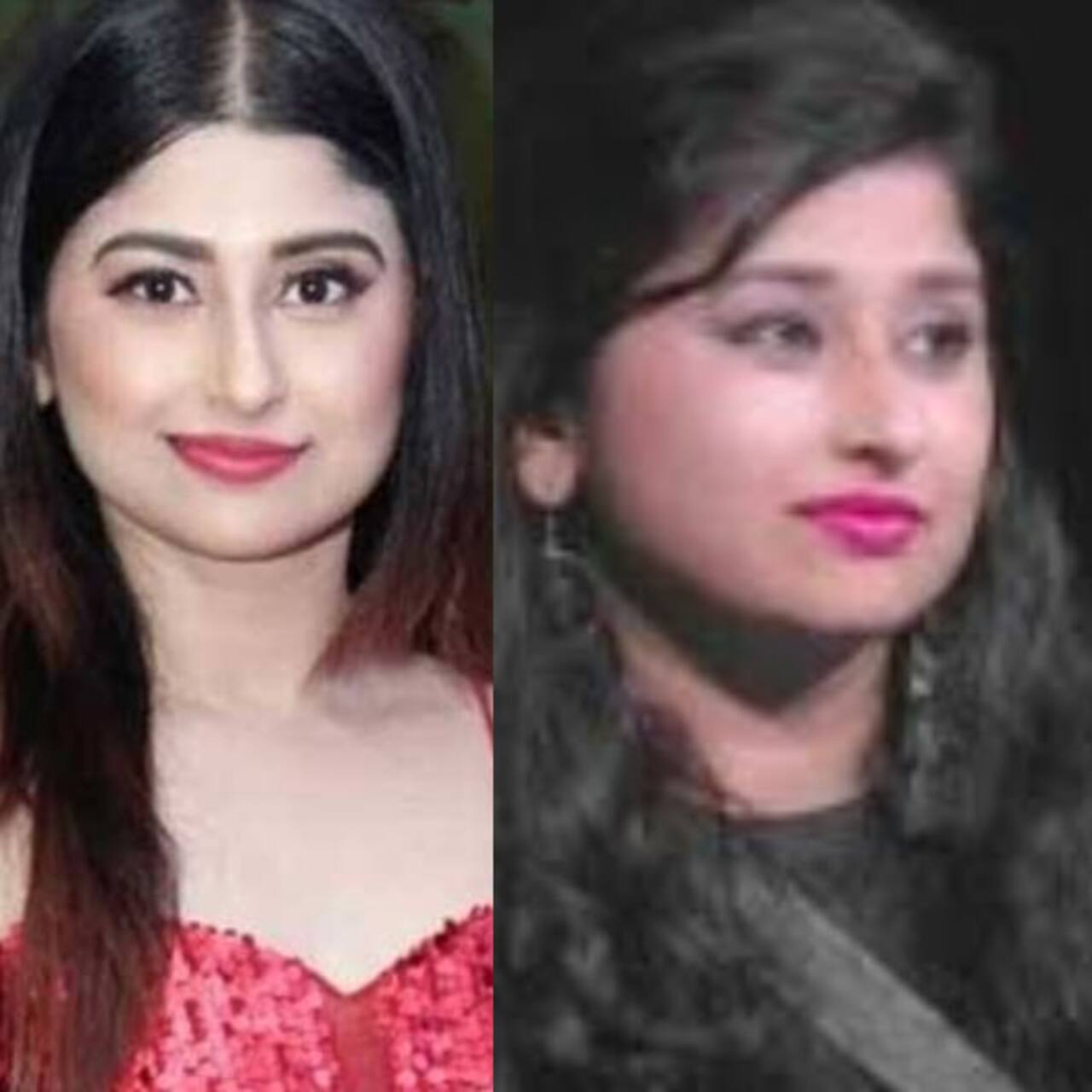 Bigg Boss: Shehnaaz Gill, Lokesh Sharma, Manveer Gujjar and more ...