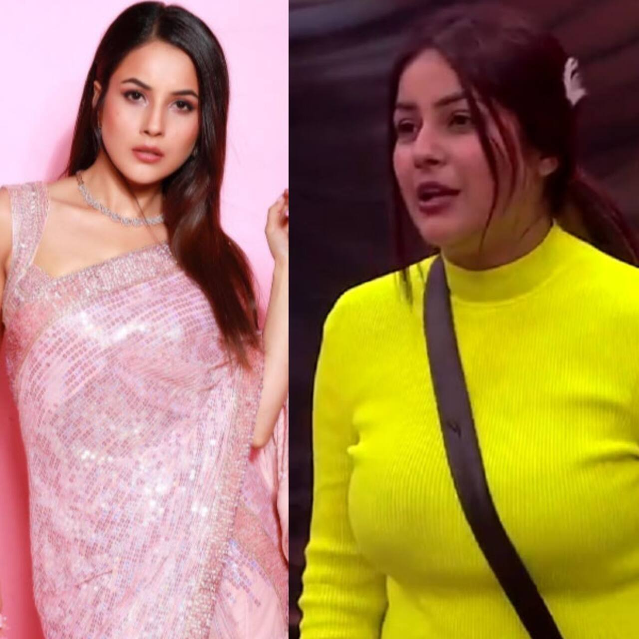 Bigg Boss: Shehnaaz Gill, Lokesh Sharma, Manveer Gujjar and more ...