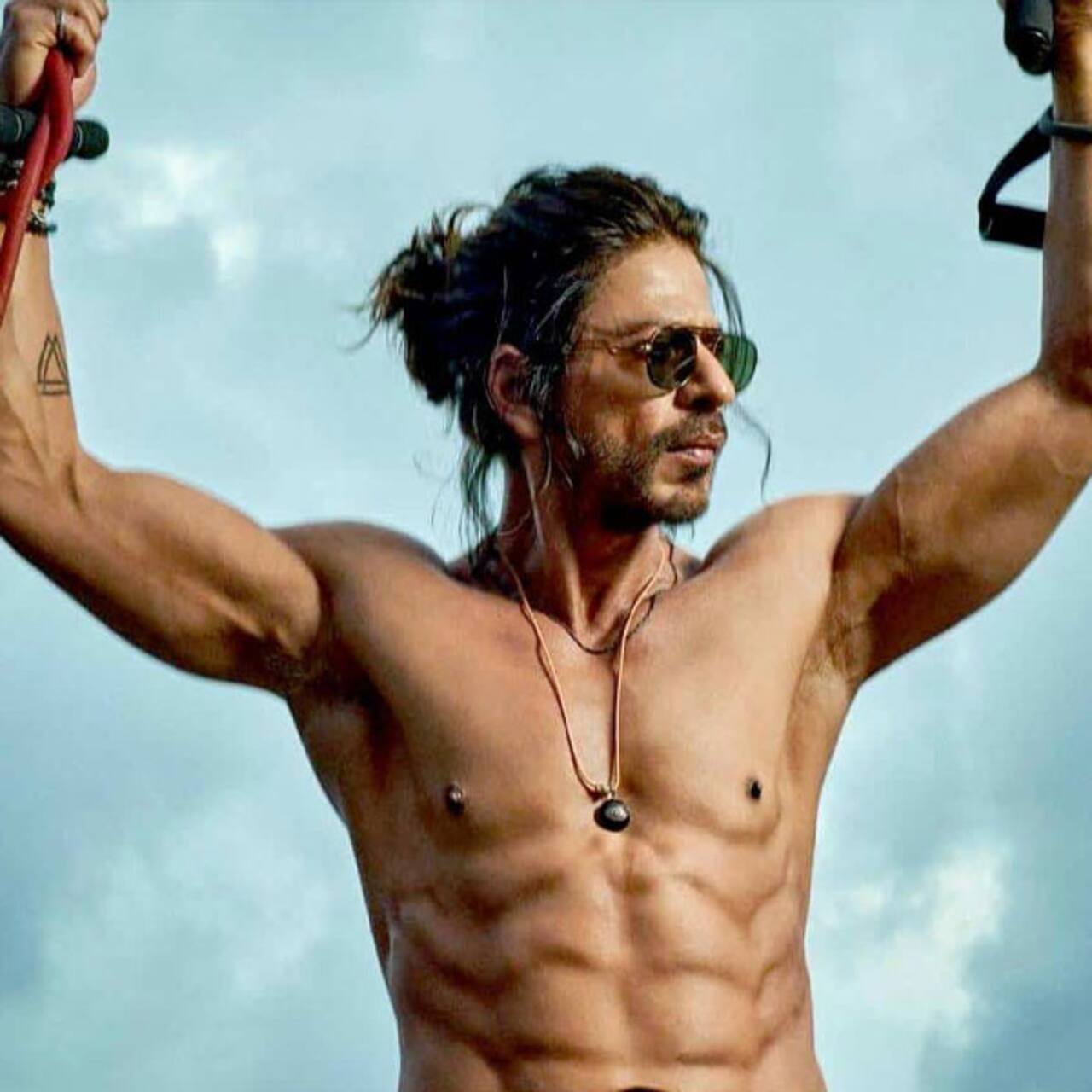 Pathaan on Republic Day weekend, Tiger 3 on Diwali and more; Stars book ...