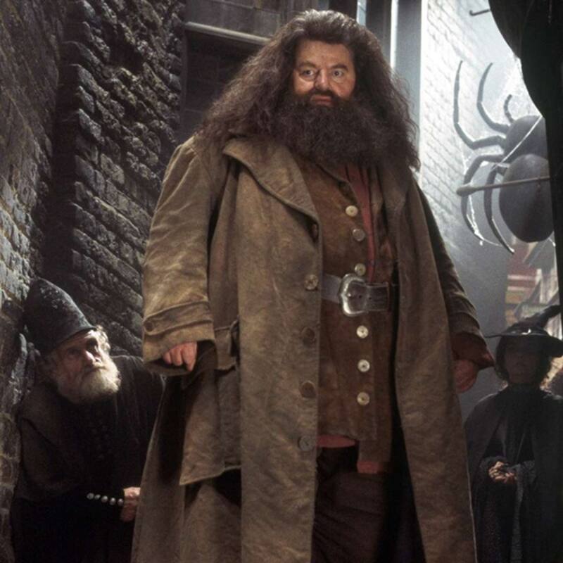 Robbie Coltrane, who played Hagrid in Harry Potter series, passes away ...