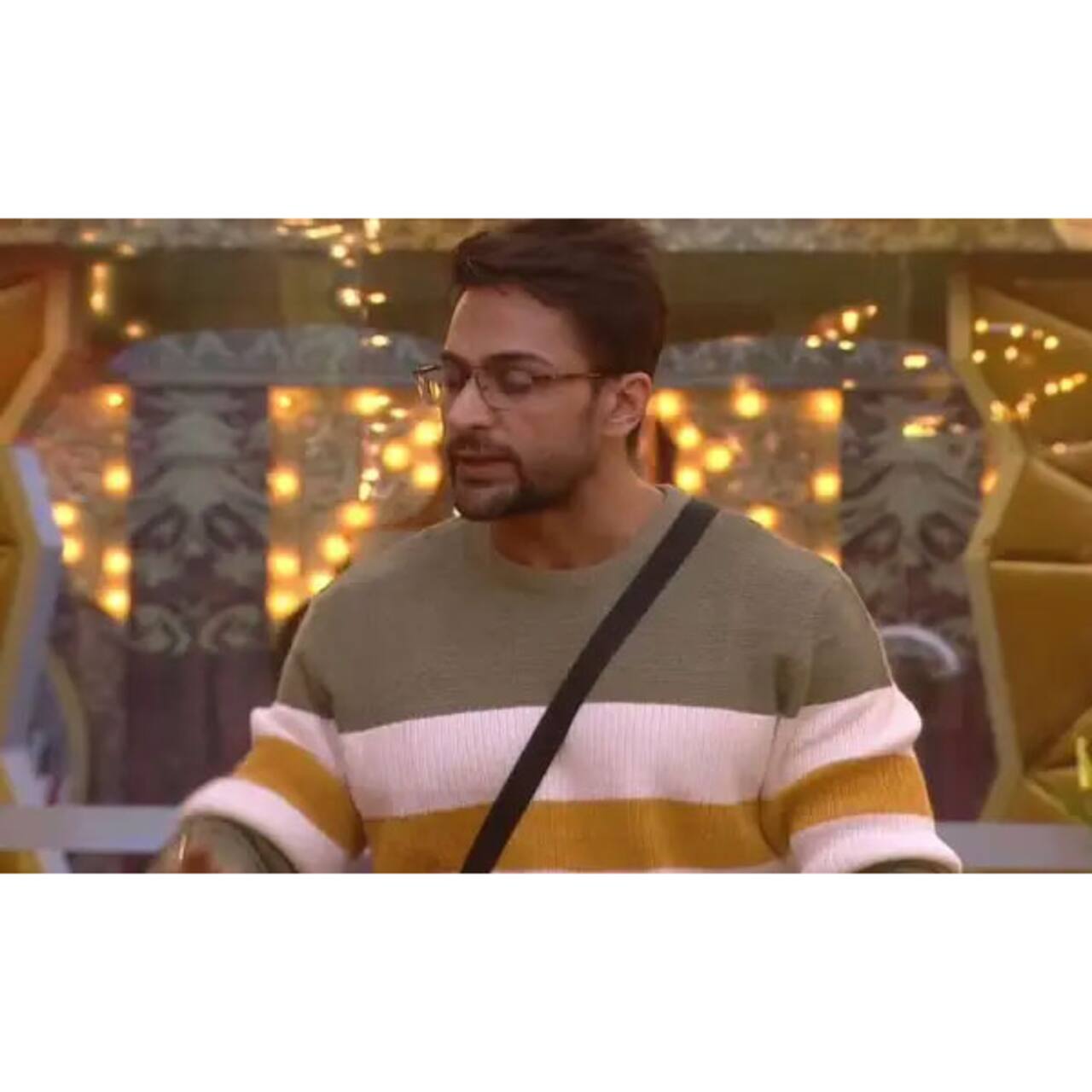 Bigg Boss 16: Shalin Bhanot to Sajid Khan; these 7 contestants have ...