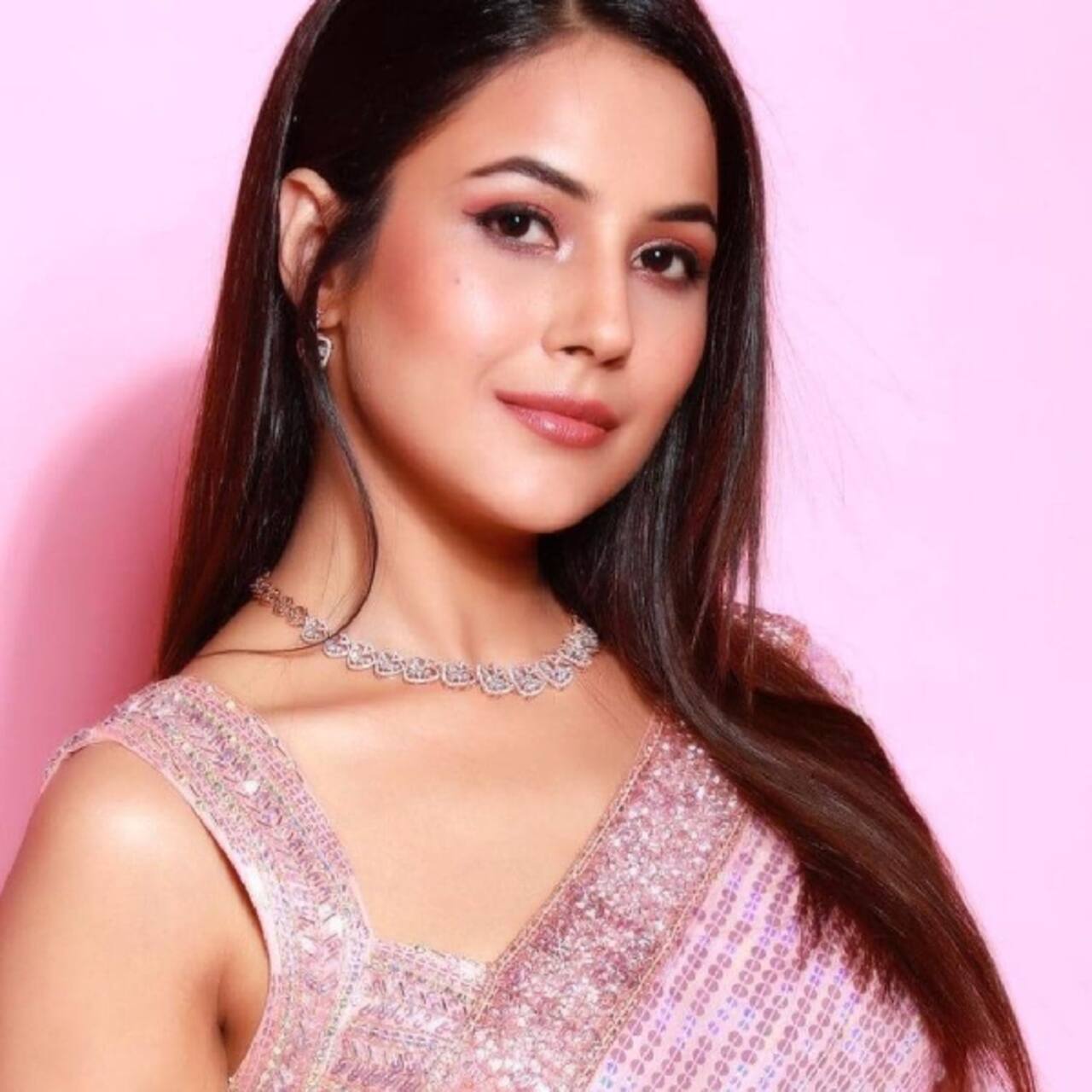 Bigg Boss 16: Not just Shehnaaz Gill, THESE ex-contestants of Salman ...