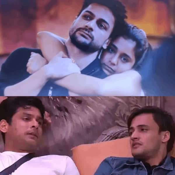 Bigg Boss: Shalin Bhanot-Sumbul Touqeer, Sidharth Shukla-Asim Riaz and ...