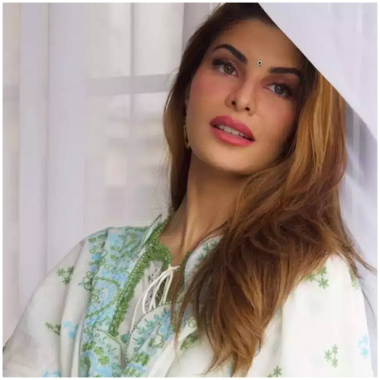 Jacqueline Fernandez was about to flee India, ED opposes bail: जैकलीन ...