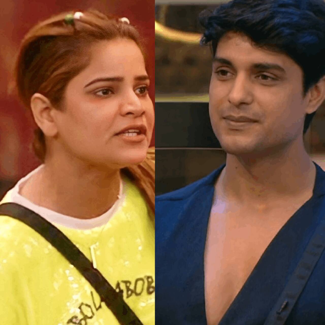 Bigg Boss 16: Ankit Gupta has a mic drop moment as he ROASTS Archana ...