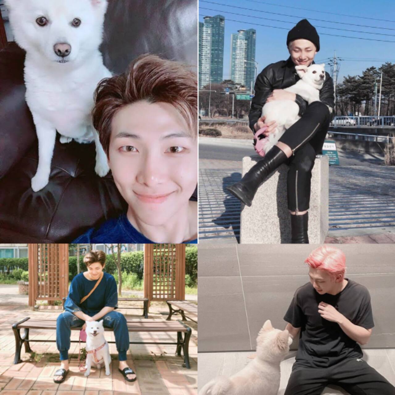 BTS: Suga cheers on Jungkook for his FIFA World Cup 2022 opening act ...