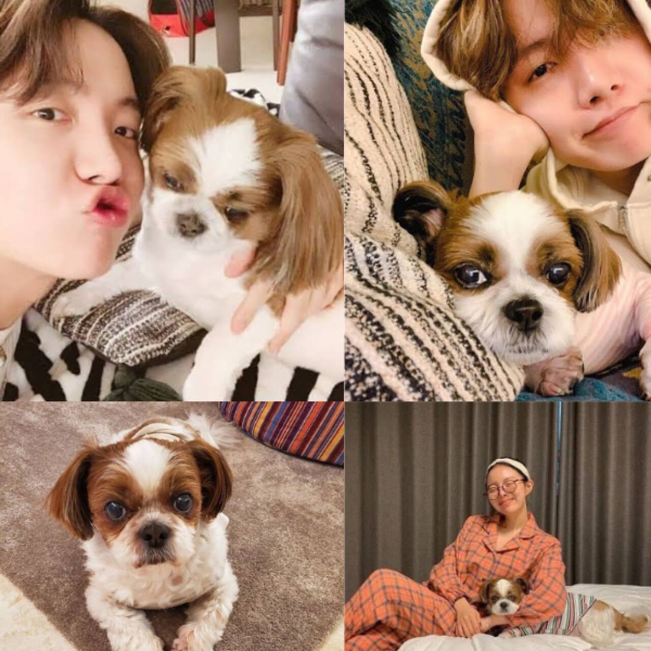 BTS: Suga cheers on Jungkook for his FIFA World Cup 2022 opening act ...