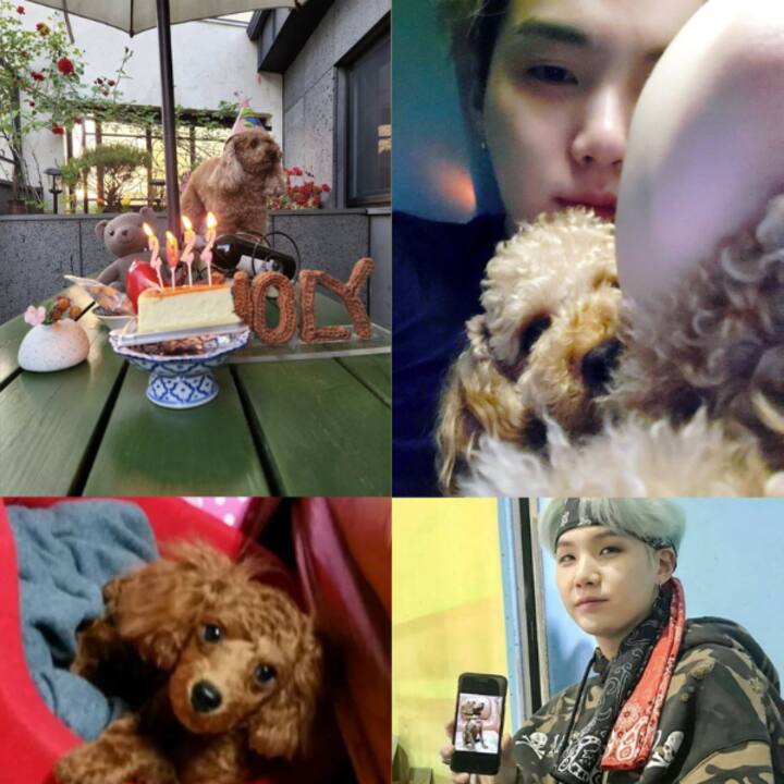 BTS: Suga cheers on Jungkook for his FIFA World Cup 2022 opening act ...