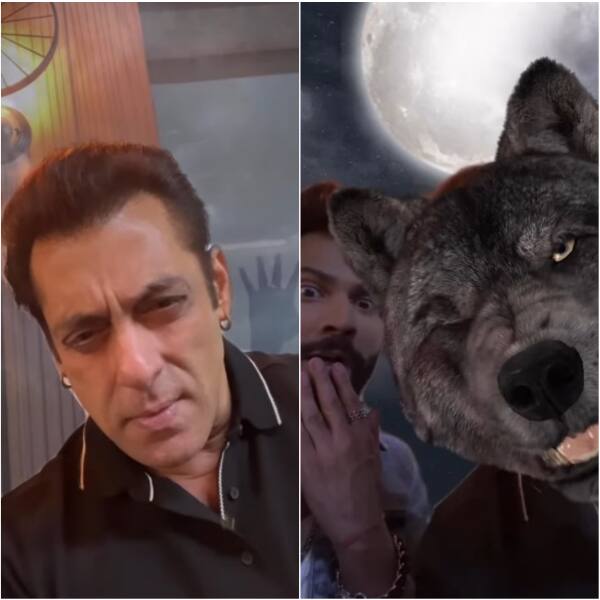 Salman Khan Turns Into Bhediya Varun Dhawan Shocked Video Viral ... Salman Khan Turns Into Bhediya Varun Dhawan Shocked Video Viral ...