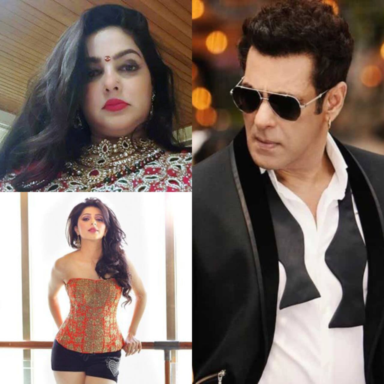 Salman Khan's past heroines like Mamta Kulkarni, Bhumika Chawla and more – here’s how they look now