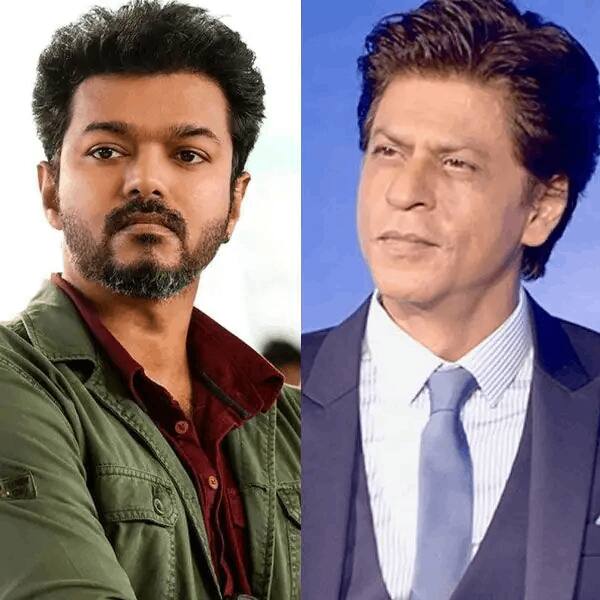 Is Shah Rukh Khan doing a film with 'cool guy' Thalapathy Vijay next? Here's what King Khan has ...