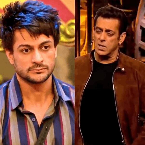 Bigg Boss 16: Salman Khan is FED UP with Shalin Bhanot's chicken rant ...