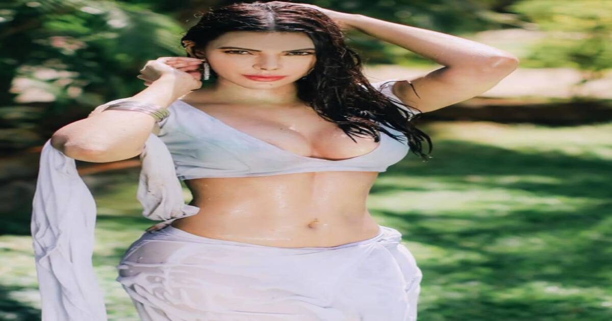 Sherlyn Chopra To Saira Bhanu These Actresses Have Been Part Of Sex