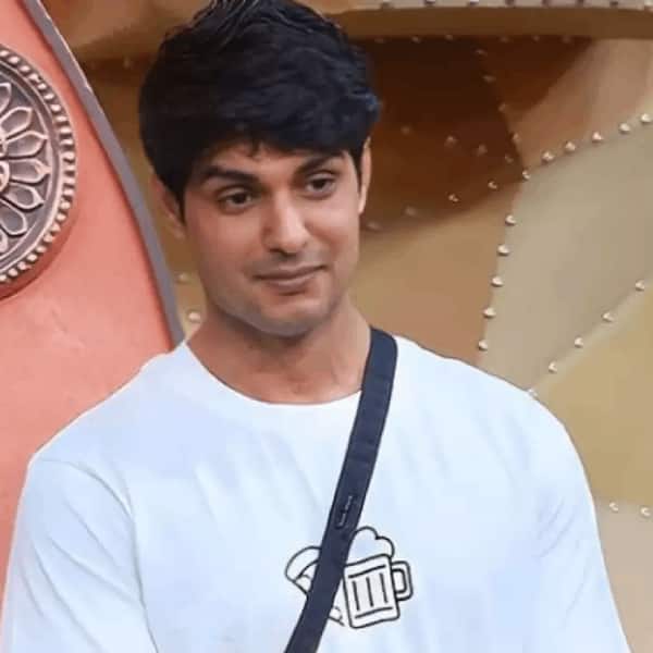 Bigg Boss 16: Abdu Rozik continues to dominate; eliminated Ankit Gupta ...