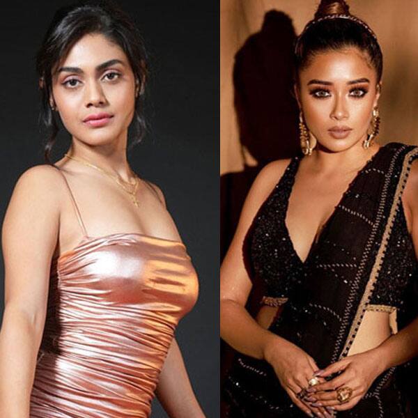 Bigg Boss 16: Tina Datta's friend Aneri Desai BREAKS silence on ... Bigg Boss 16: Tina Datta's friend Aneri Desai BREAKS silence on ...