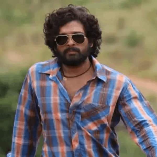 Pushpa 2: A spicy number featuring THIS actress to feature in Allu ...