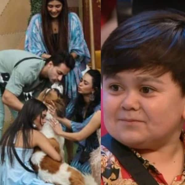 dog mahim enter in Bigg boss 16 - बिग बॉस 16 में आए नए सदस्य को देख ...