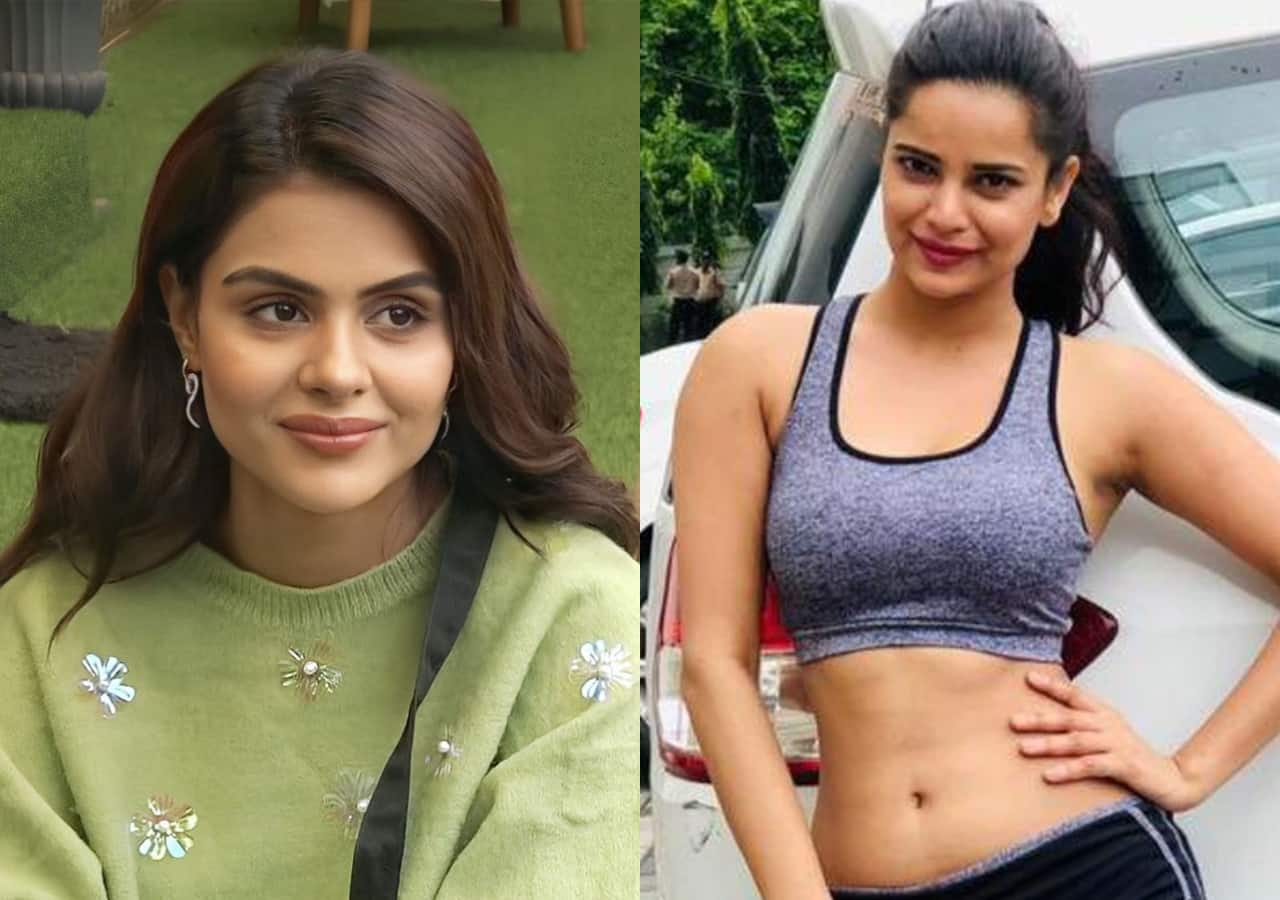 Bigg Boss 16: Priyanka Chahar Choudhary, Archana Gautam, Shalin Bhanot ...