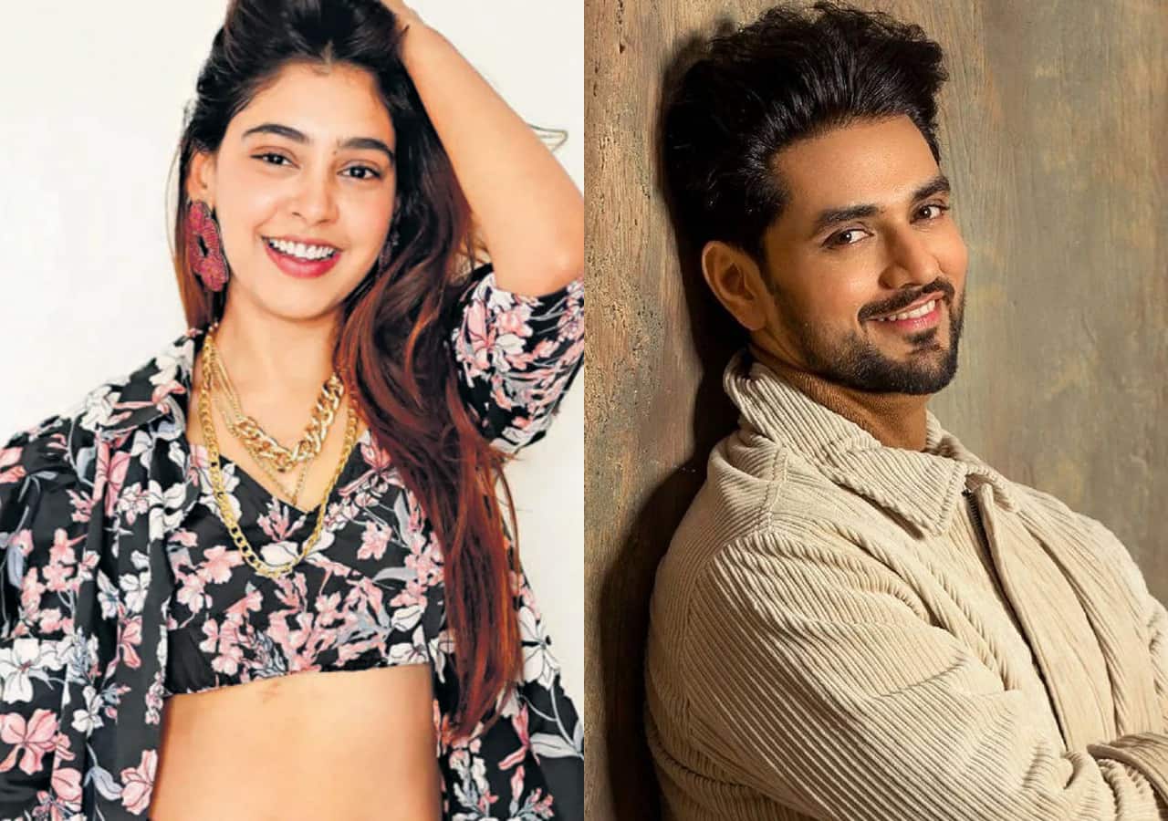 Niti Taylor in Bade Achhe Lagte Hain 2, Shakti Arora from Kundali ...