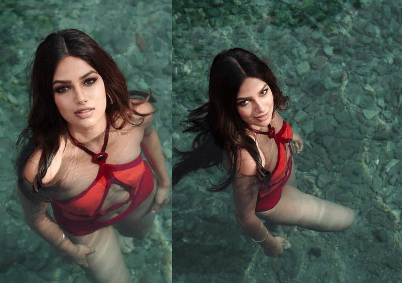 7 times Harnaaz Sandhu left fans gasping for breath with her HAWT and ...
