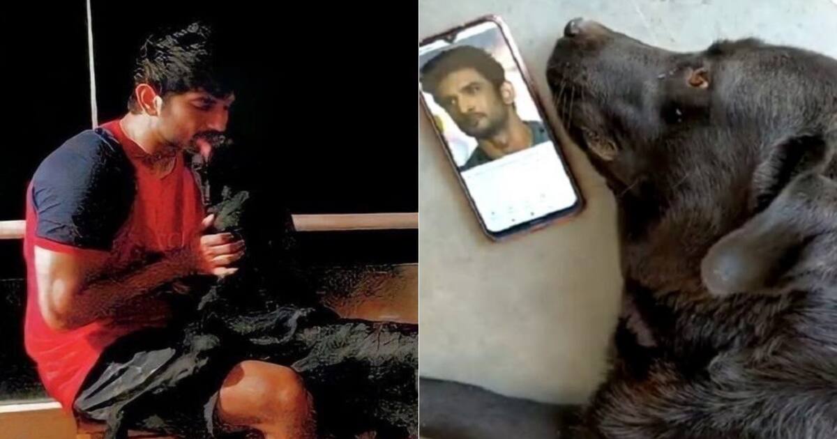 Sushant Singh Rajput And His Pet Dog Fudge Photos Went Viral - सुशांत ...
