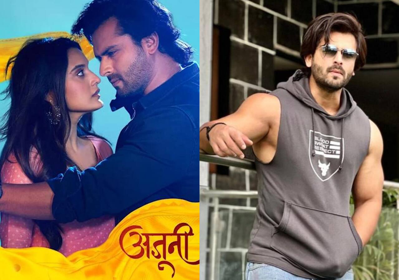 Shaheer Sheikh in Woh Toh Hai Albelaa, Shoaib Ibrahim in Ajooni and ...