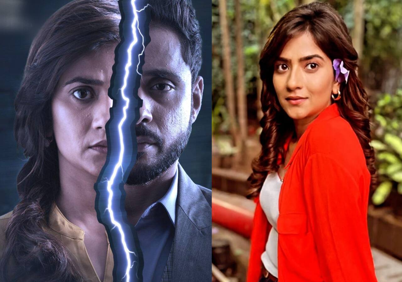 Shaheer Sheikh in Woh Toh Hai Albelaa, Shoaib Ibrahim in Ajooni and ...