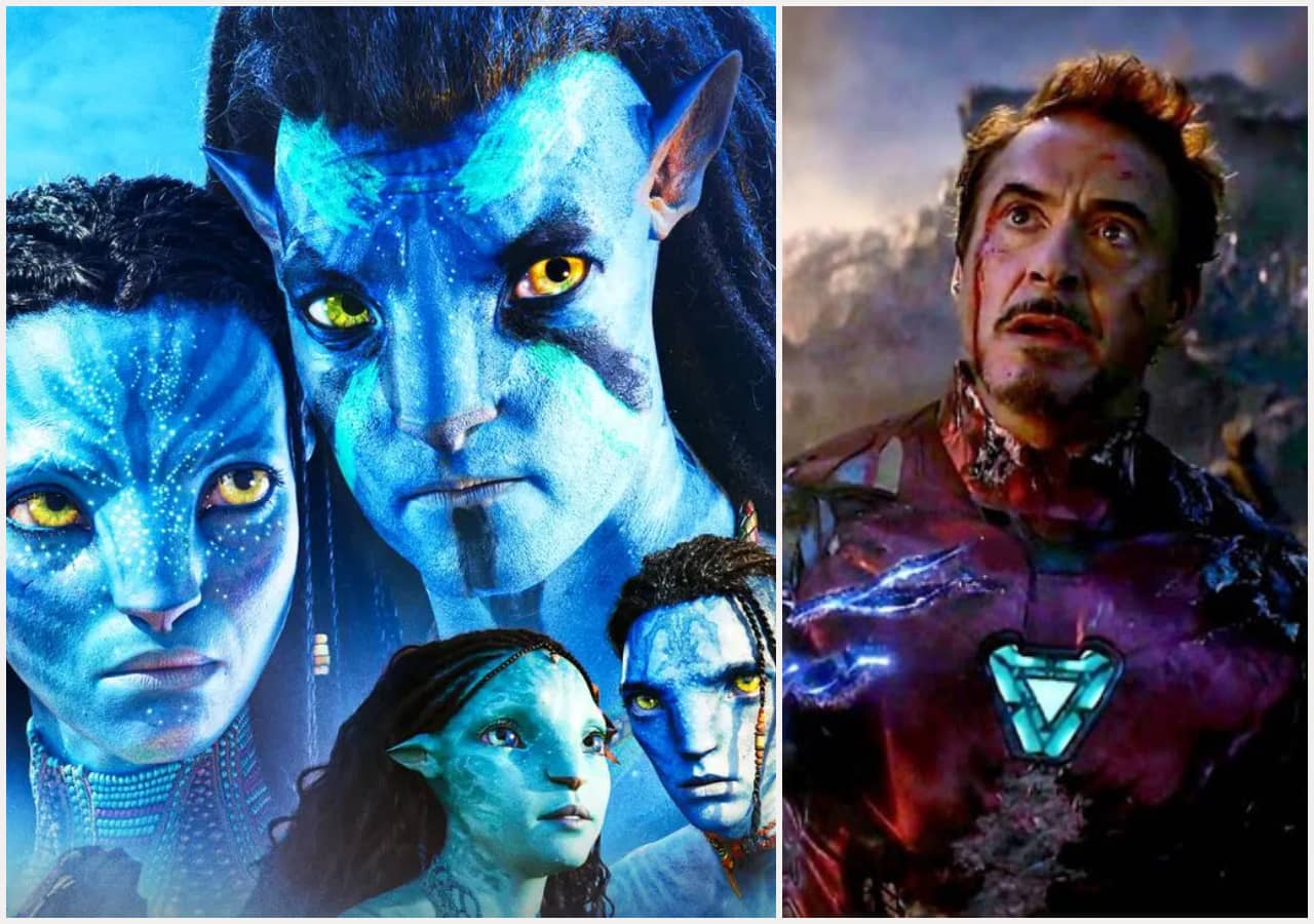 Top 10 Hollywood Movies India Box Office, Avatar 2 BEATS Avengers ...