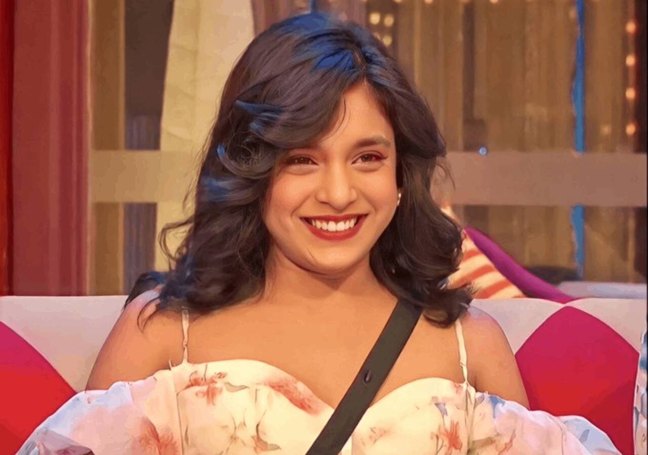 Bigg Boss 16: One-liner King Ankit Gupta to Shayar Archana Gautam – List of the most unique ...