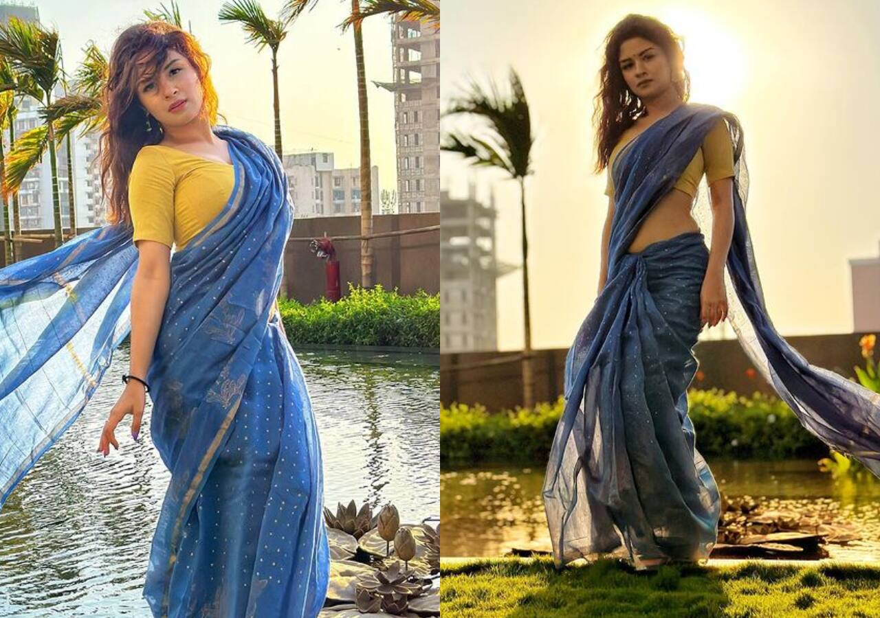 Avneet Kaur is the epitome of sensuality in a blue cotton saree [View Pics]