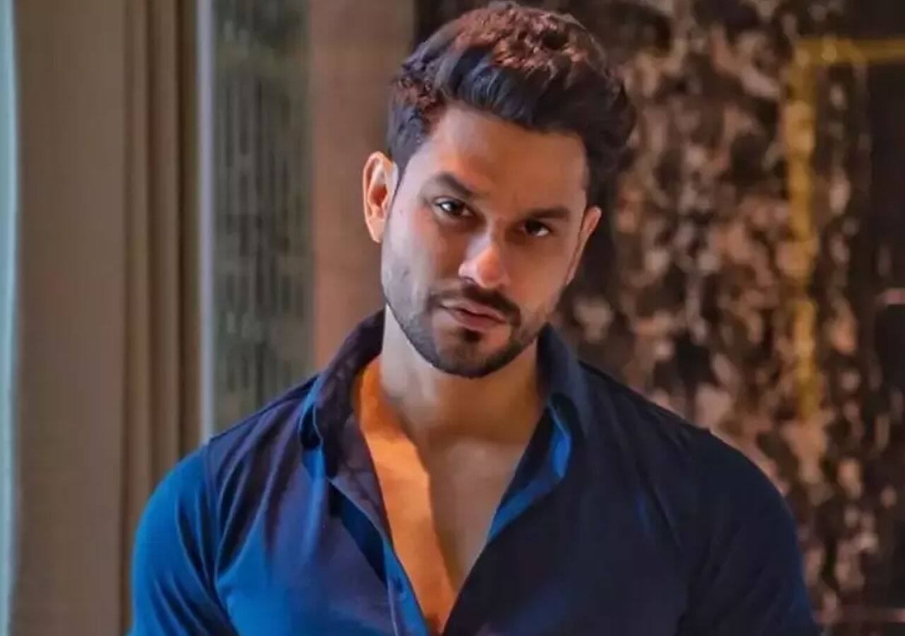 Shehzada Kartik Aaryan to Naga Chaitanya: Top celebrities who got ...