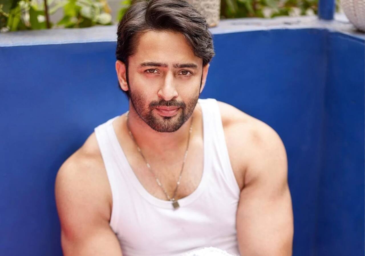 Mohsin Khan, Pratik Sehajpal, Shaheer Sheikh and other TV hunks who are in demand for music videos